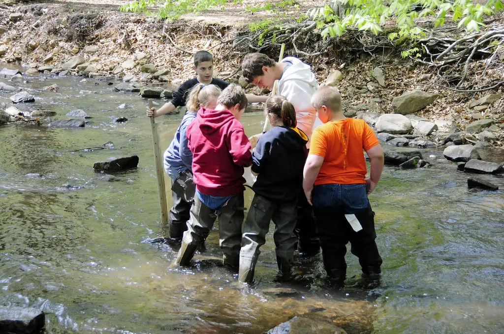 23 Great Forest School Activity Ideas - OhMyClassroom.com