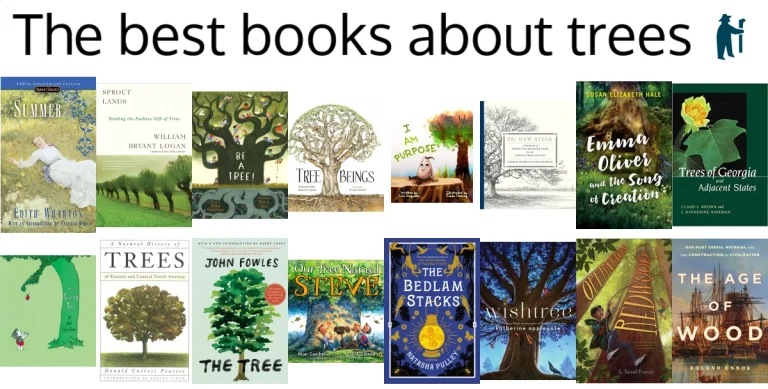 23 Great Forest School Activity Ideas - OhMyClassroom.com