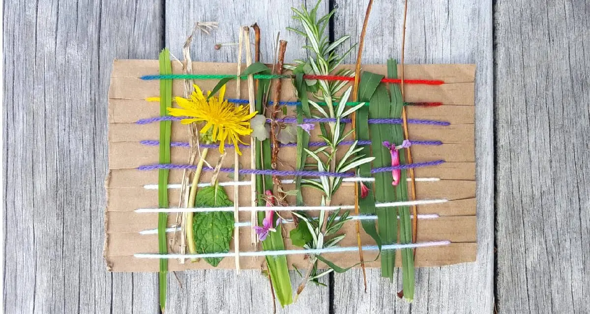 23 Great Forest School Activity Ideas - OhMyClassroom.com