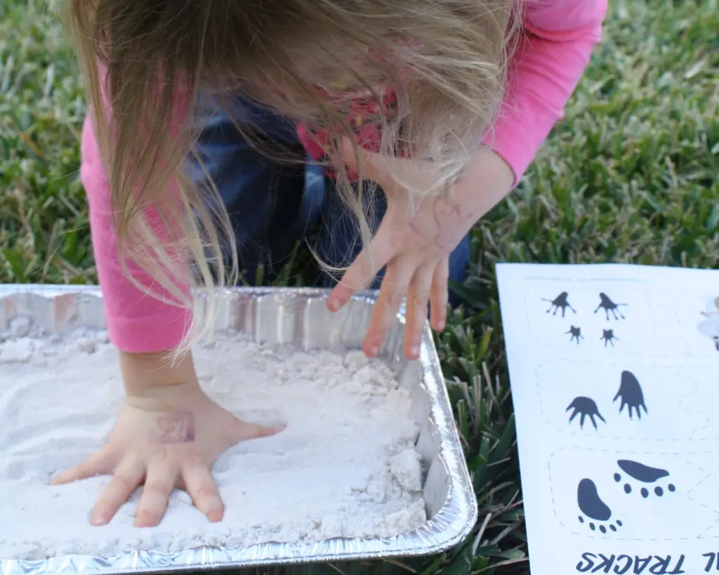 22 Fun Preschool Camping Theme Activities - OhMyClassroom.com