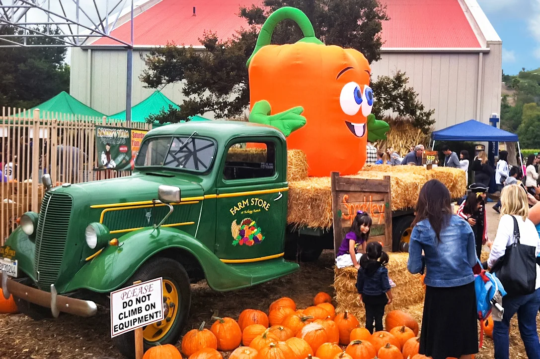 22 Spookley Square Pumpkin Activities - OhMyClassroom.com