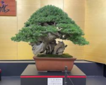 24 Japanese Culture Crafts for Kids – OhMyClassroom.com