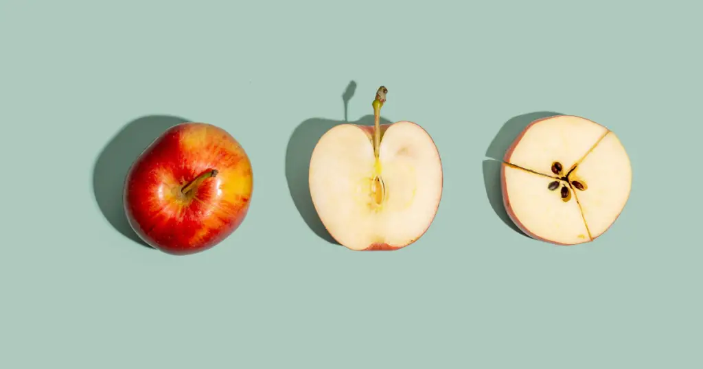 This Fractions Trick Will Have Your Kids Mastering Math In Minutes