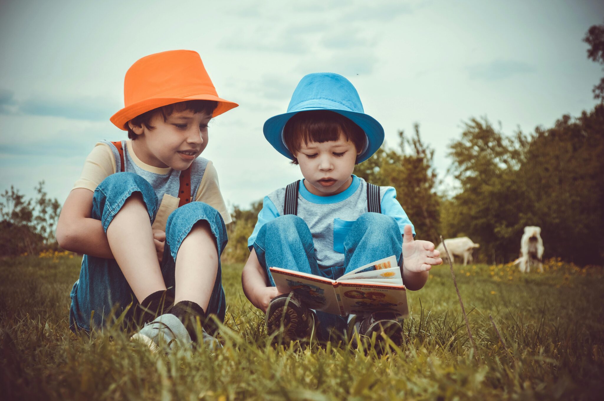 Early Elementary Spring Reading Comprehension Activities to Spark Young ...